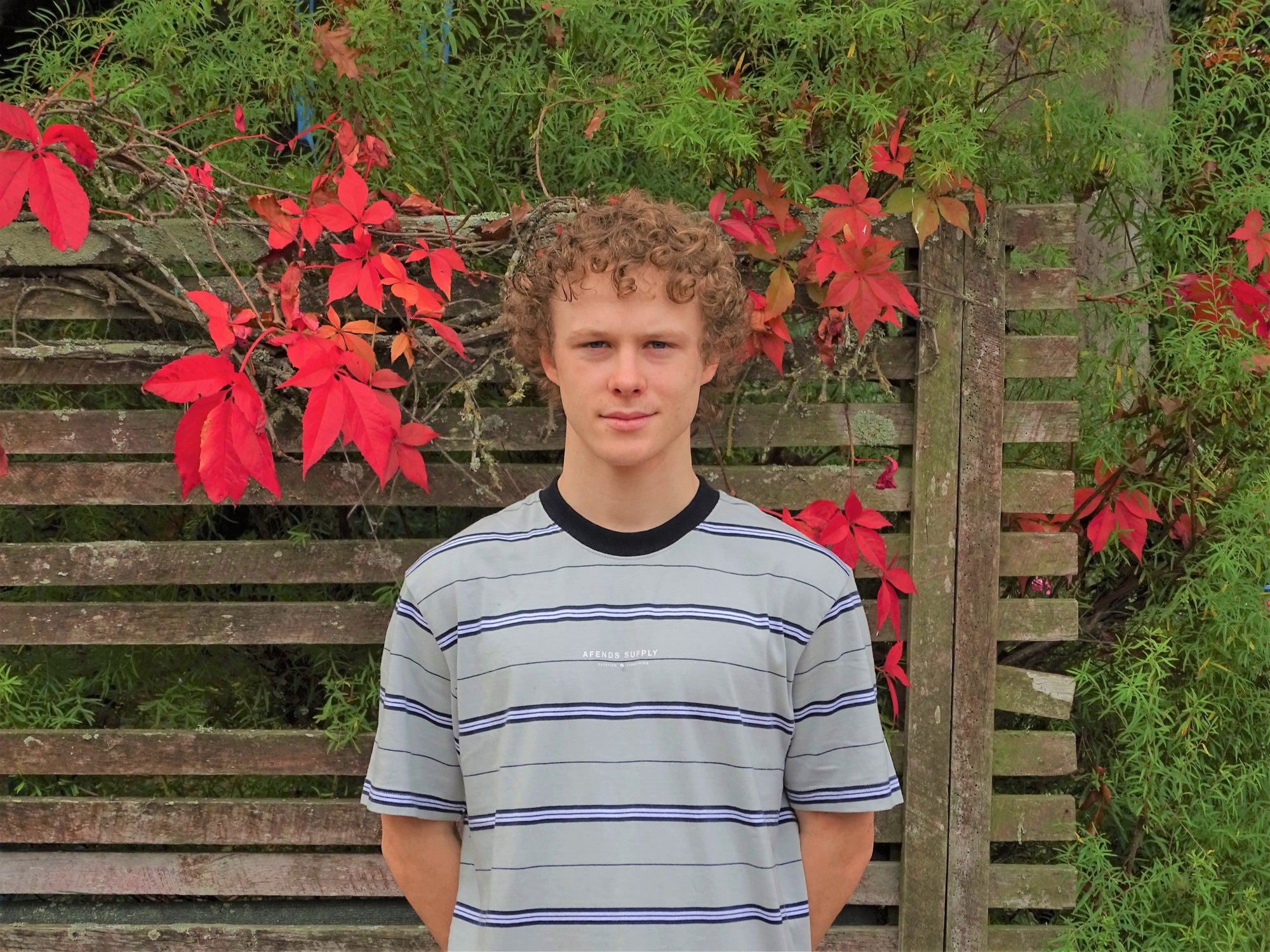 About Us - Compulsion Tech